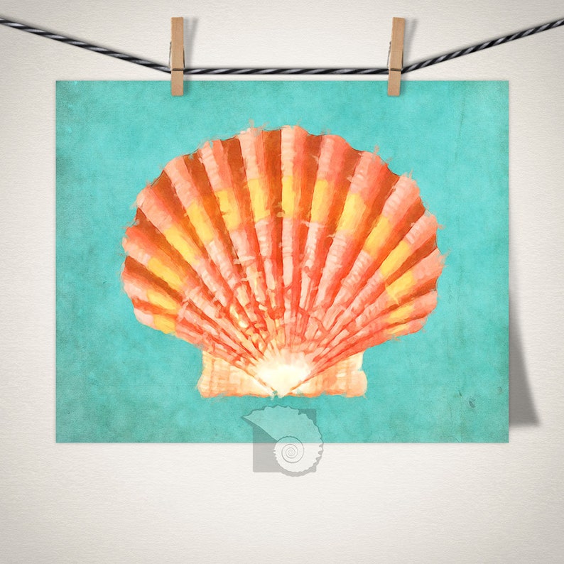Scallop shell art matted prints 11x14 shell painting | Etsy