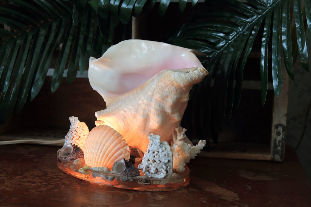 Fabulous Vintage Shell TV Lamp Kitschy Conch Shell Nightlight Seashell ...