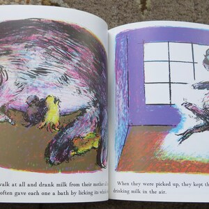 Crow Boy and Momo's Kitten by Taro Yashima - Etsy