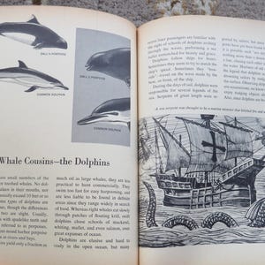 Whales Golden Book by Jane Werner Watson, the Whales Go by by Fred ...
