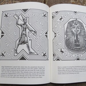 5 Books Amazing Mazes by Rolf Heinmann, Egyptian Mazes, the Everything ...