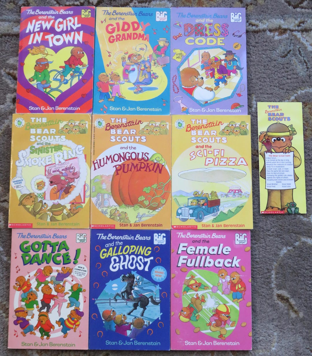 6 the Berenstain Bear Big Chapter Books AND 3 the Berenstain Bear ...