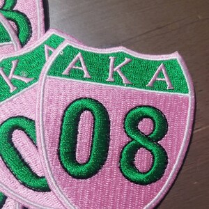 AKA 08 Patch, Pink and Green, 1908, Ivy League, Patches, DIY, One Patch ...