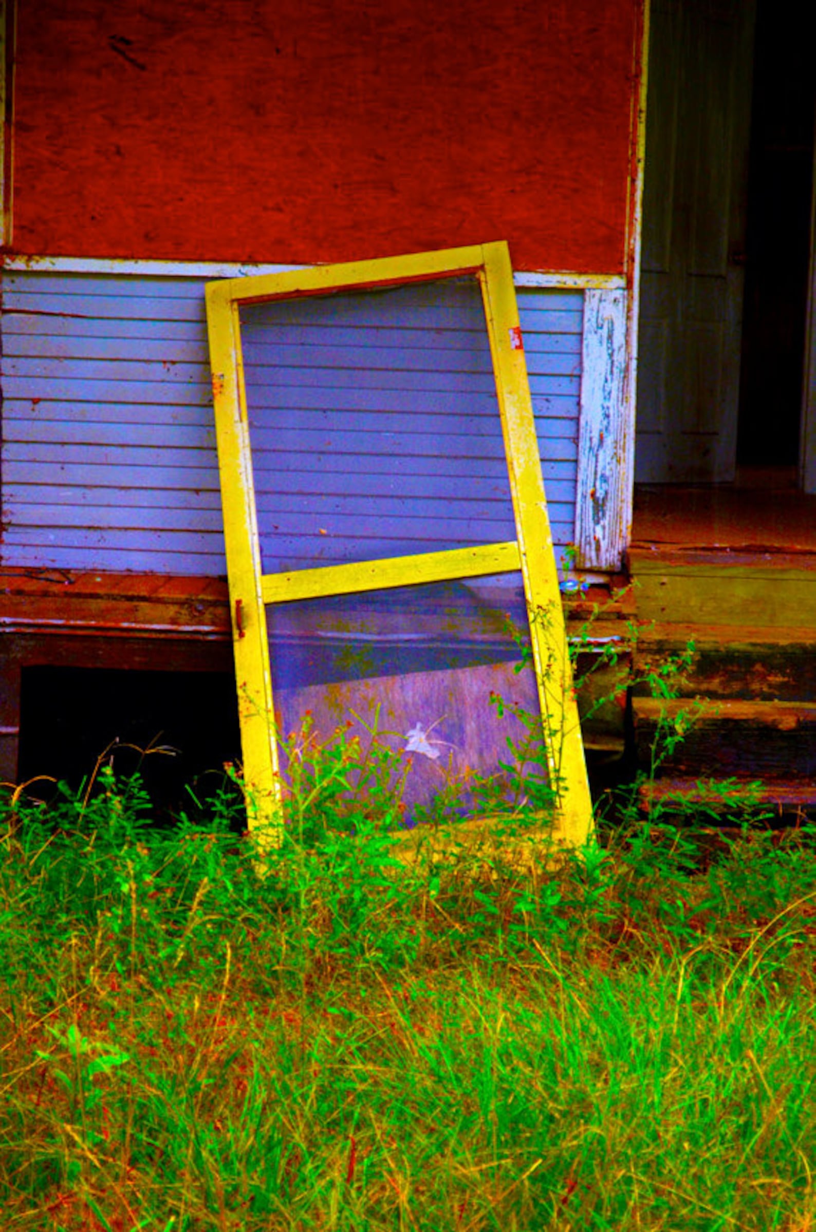 Broken Screen Door - Etsy