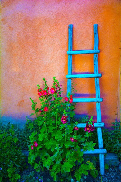 New Mexico Ladder on Stucco - Etsy