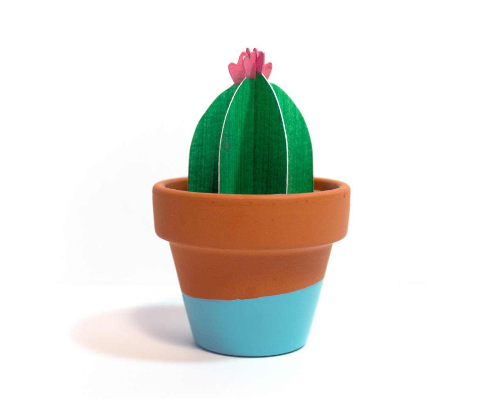 Potted Paper Cactus With Blooming Flower (parodia Cactus) - Etsy