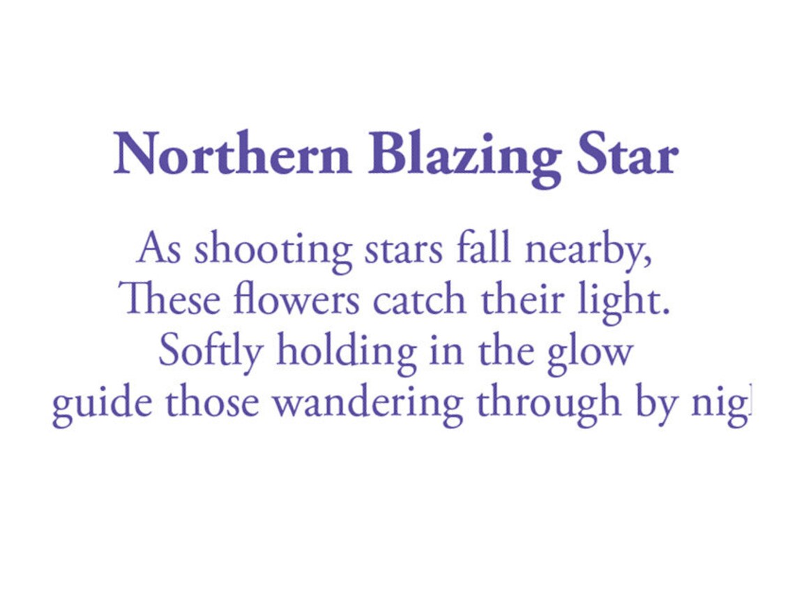 Northern Blazing Star Flower Card With Poem - Etsy