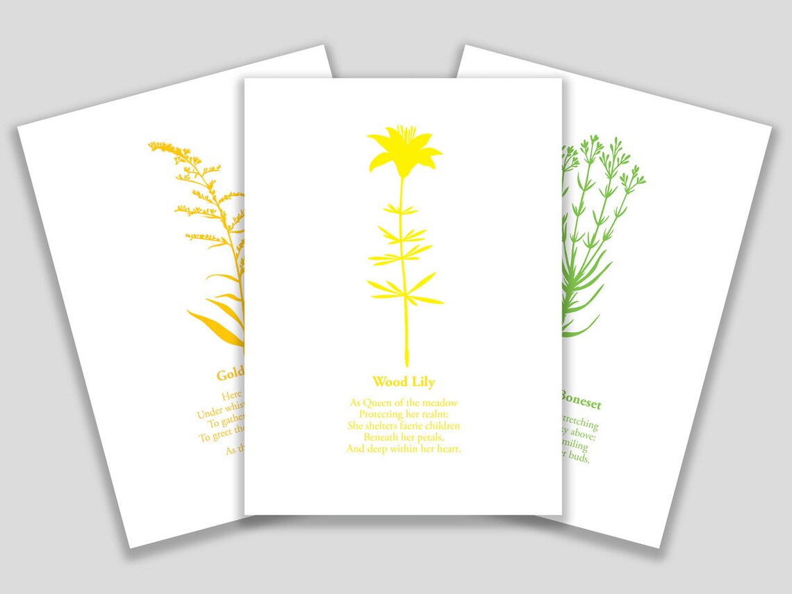 Card Set With All Ten (10) Flowers From "vineyard Magic" - Etsy