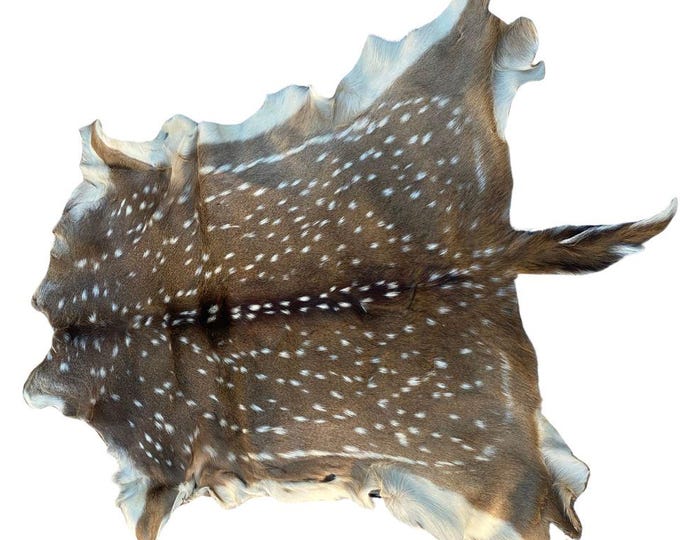 Deer Hide Skin Rug Bambi Fur Blanket Wall Hanging Buck Doe Fawn Animal ...