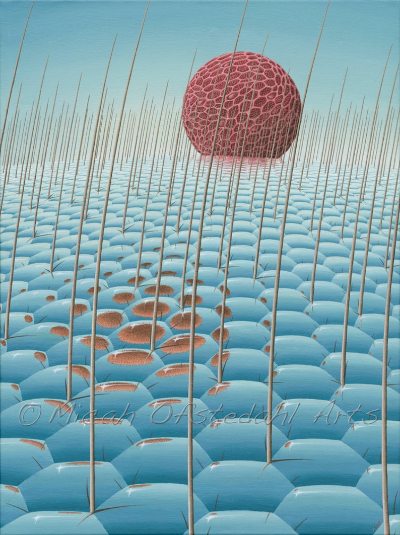 Biological Surrealism. Science Art. 5 X 7 Fine Art Card of Painting ...