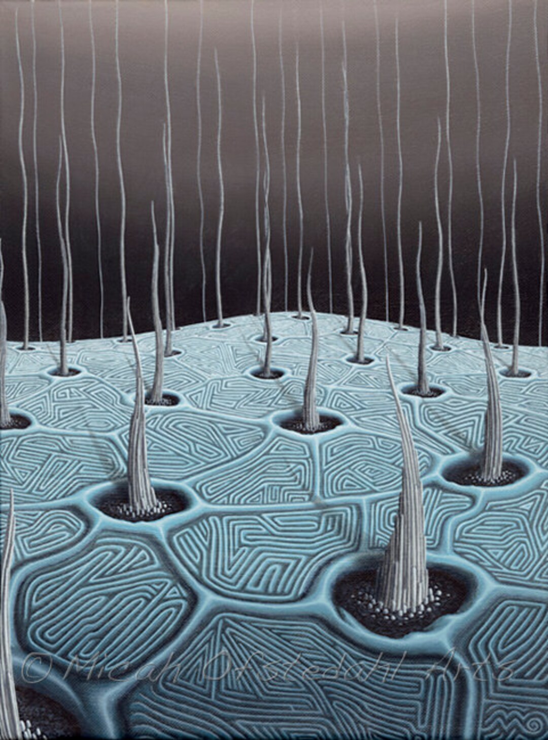 Biological Surrealism. Science Art. 5 X 7 Fine Art Card of Painting ...