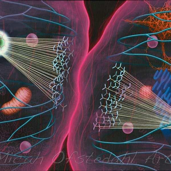 Biology Wall Art - Etsy