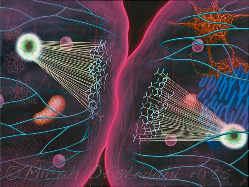 Abstract Surrealism Print of Cell Biology Painting division of Threads ...