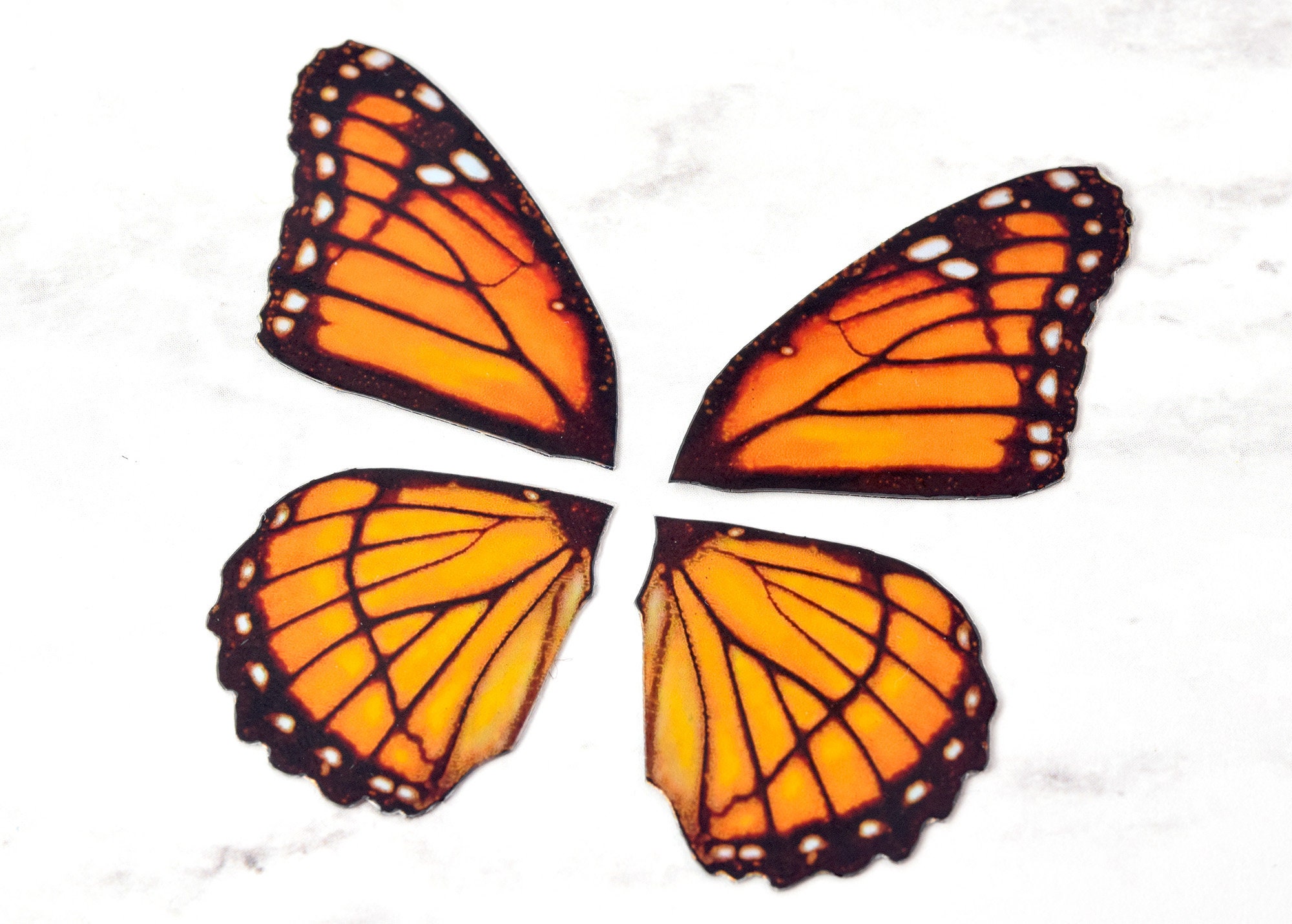 Alas de mariposa monarca en miniatura para manualidades: alas de color ...