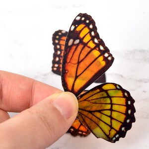 Miniature Monarch Butterfly Wings for Crafting - Colorful Iridescent ...
