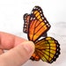 Miniature Monarch Butterfly Wings for Crafting Colorful Iridescent ...