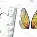 Miniature Fairy Wings for Crafting Colorful Insect Wings With ...