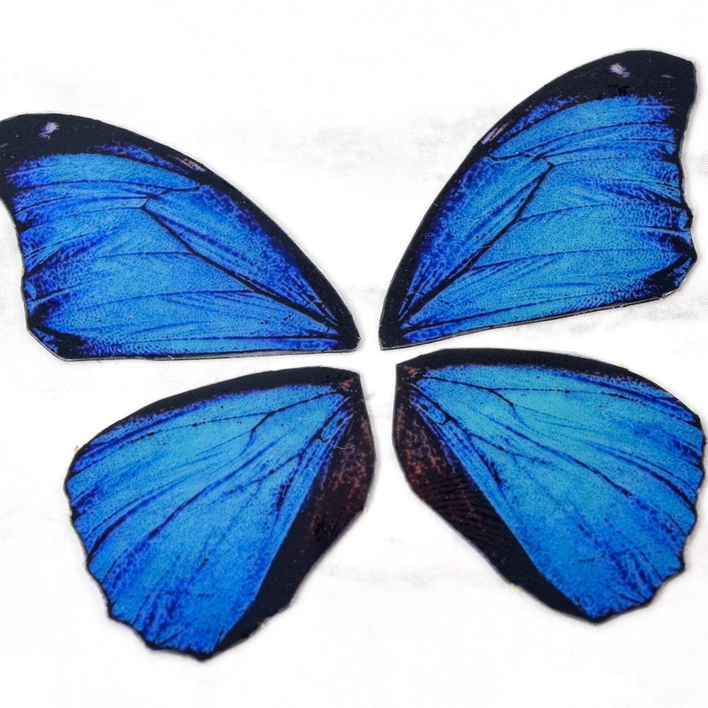 Miniature Butterfly - Etsy