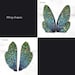 Miniature Fairy Wings for Crafting - Colorful Cicada and Hornet Wings ...