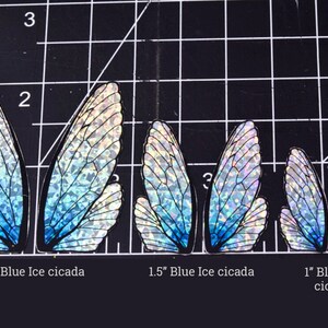 Miniature Fairy Wings for Crafting - Colorful Insect Wings With ...
