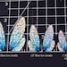 Miniature Fairy Wings for Crafting - Colorful Insect Wings With ...