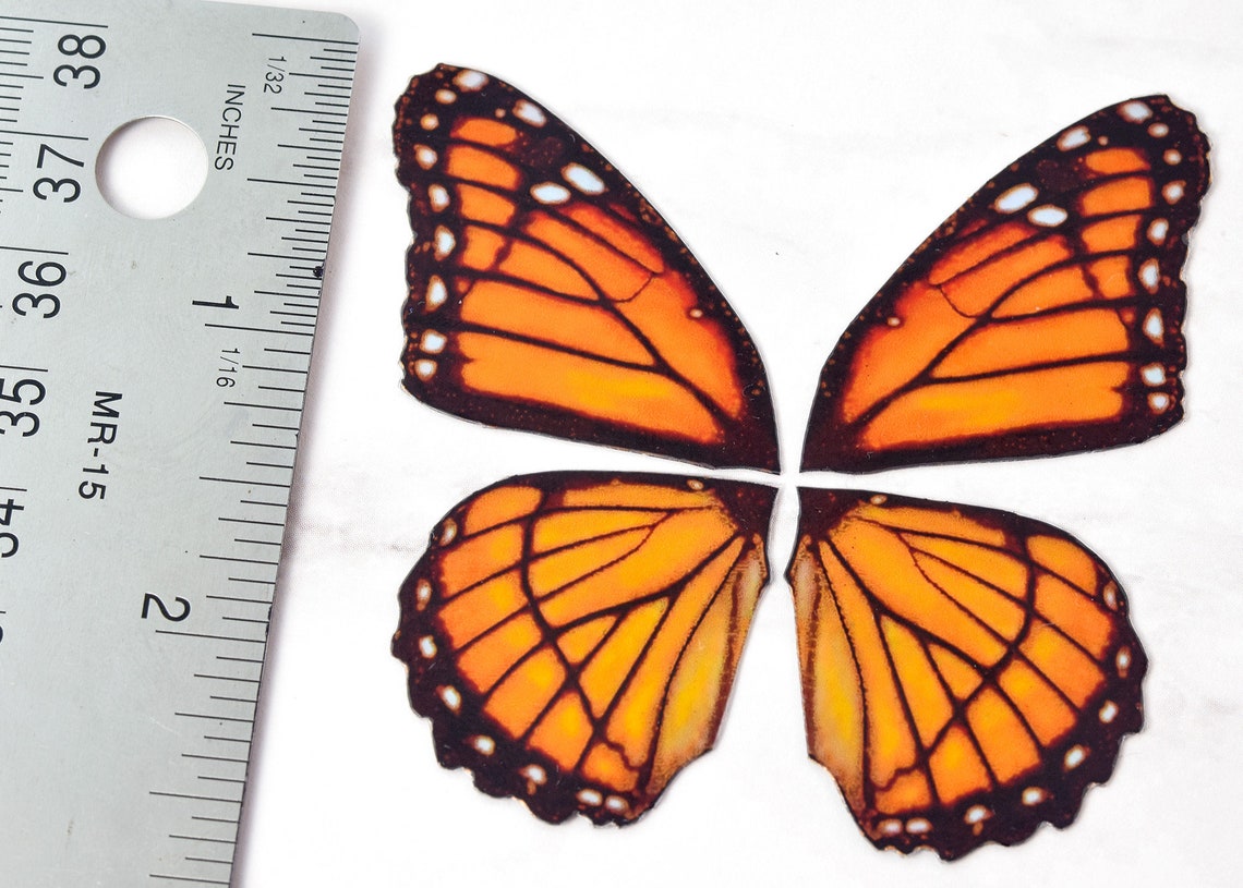 Miniature monarch butterfly wings for crafting colorful | Etsy