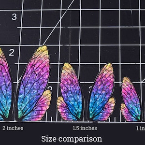 Miniature Fairy Wings for Crafting - Colorful Cicada and Hornet Wings ...