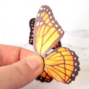 Miniature Monarch Butterfly Wings for Crafting - Colorful Iridescent ...