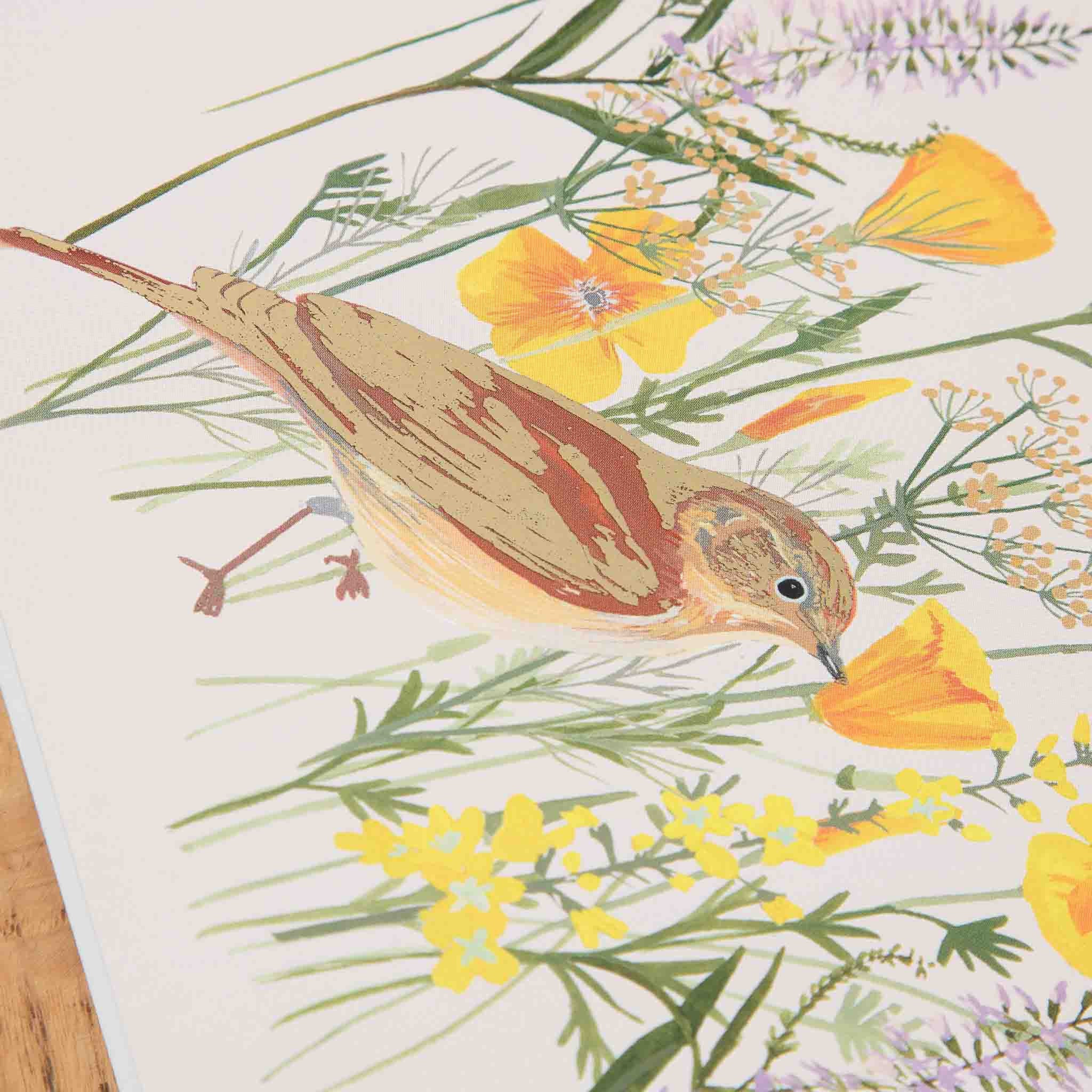 Blank Note Bird Card - Etsy