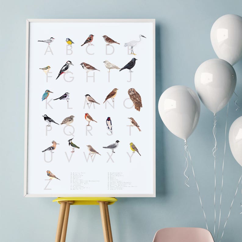 Garden Birds A-Z British Garden Birds Educational Poster - Etsy