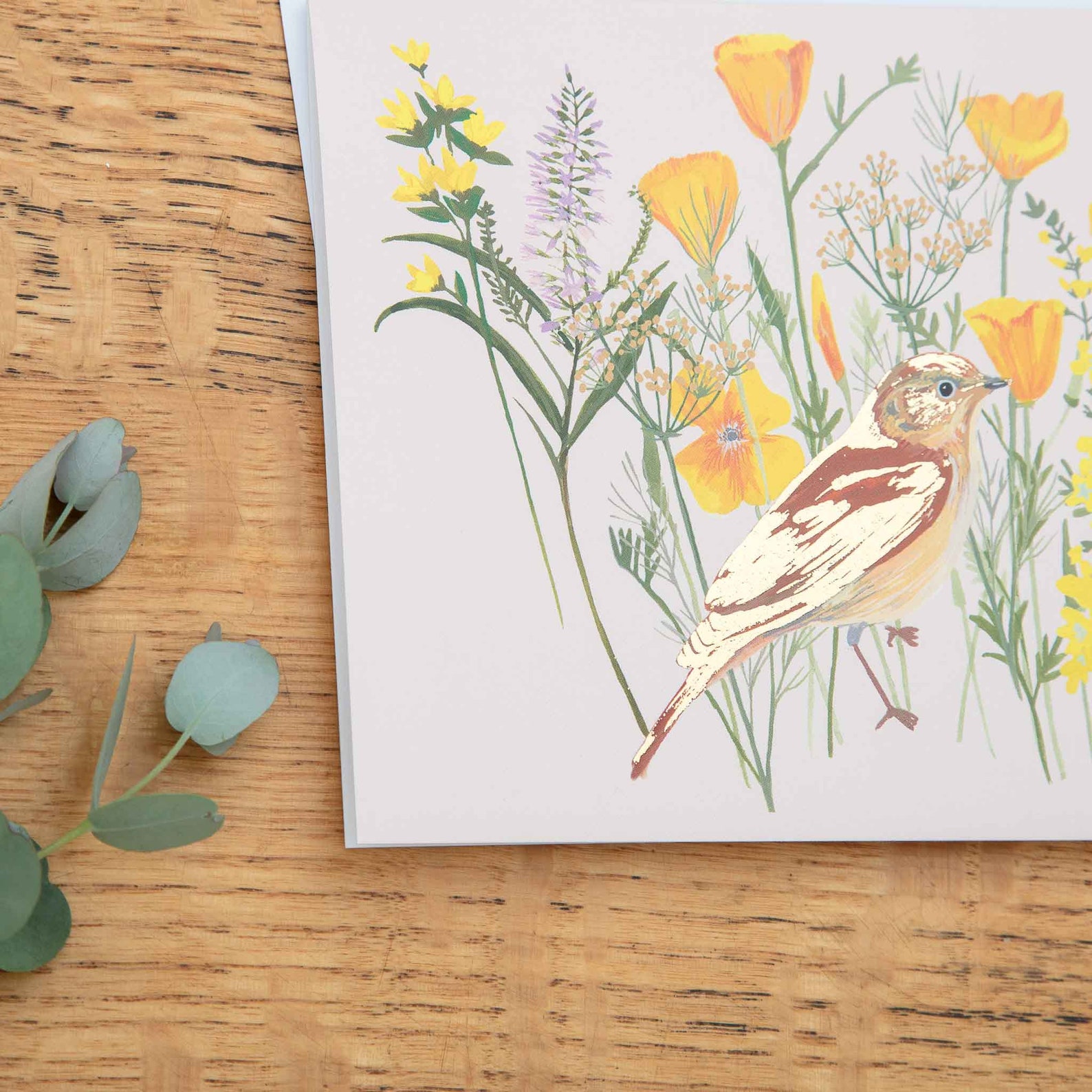 Blank Note Bird Card - Etsy