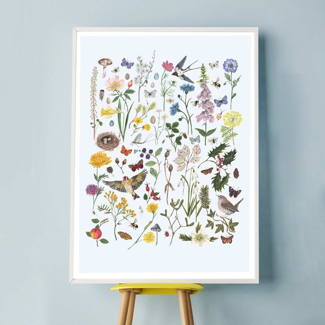 Seasons Giclee Print, British Plant and Wildlife, Educational Poster ...