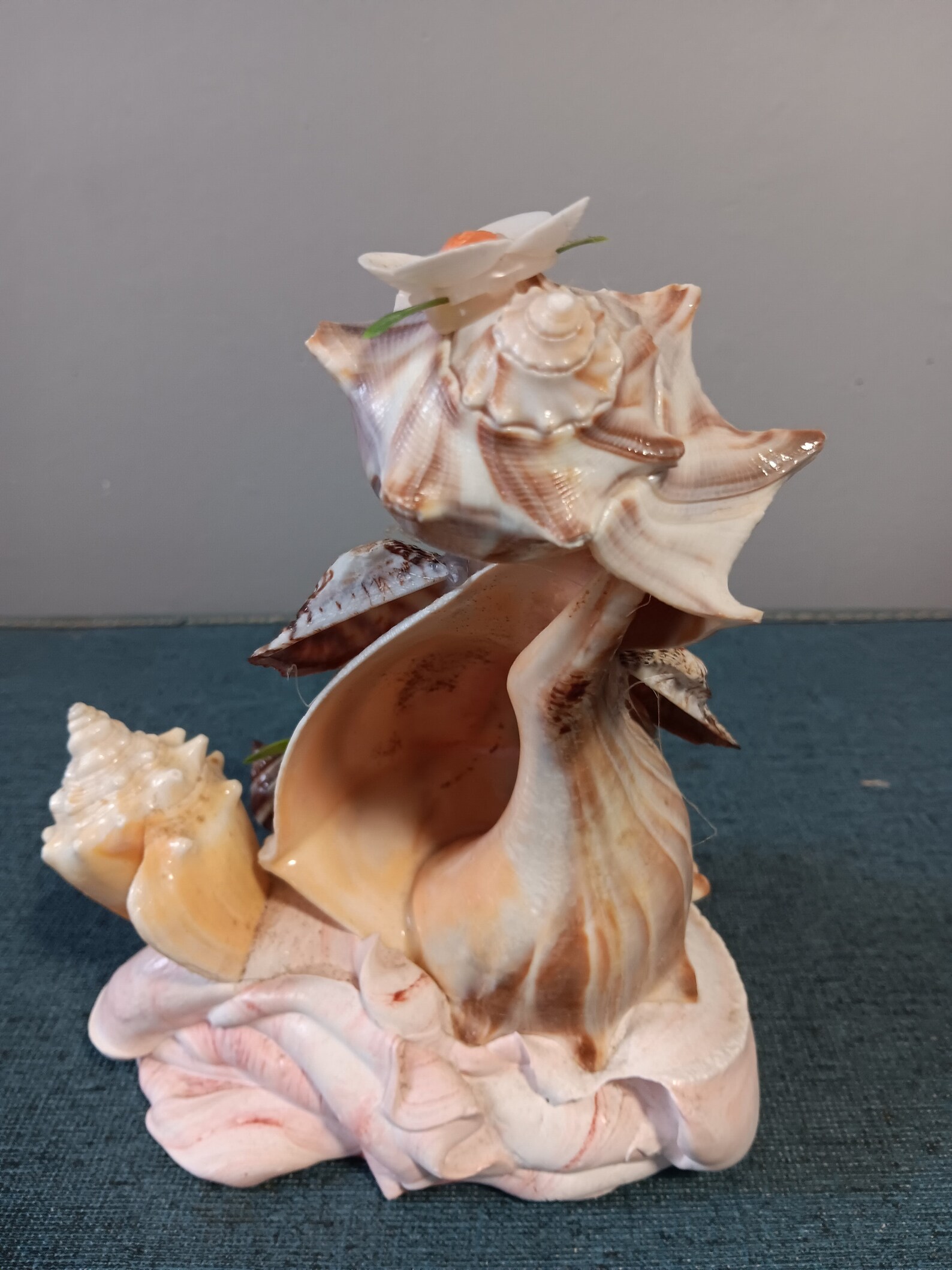 Seashell Character From 1960s | Midcentury Souvenir - Etsy