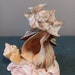 Seashell Character From 1960s Midcentury Souvenir - Etsy