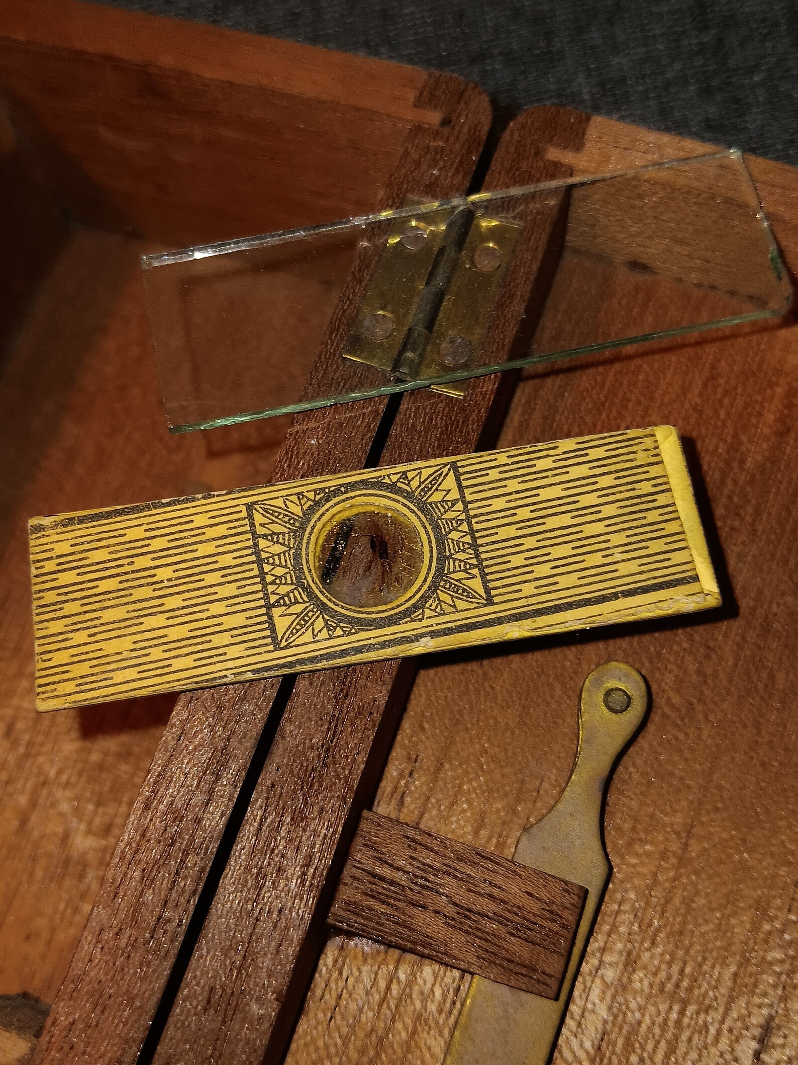 Field Microscope | Antique Child's Scientific Instrument From the 1920s ...
