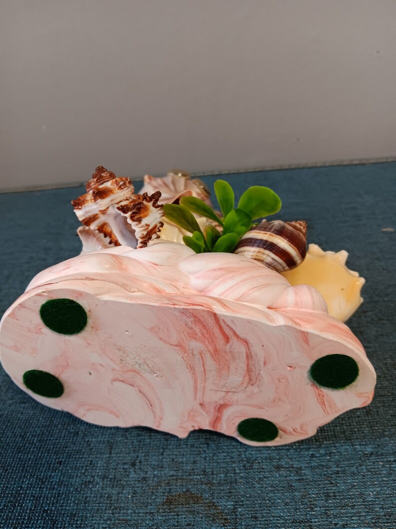 Seashell Character From 1960s Midcentury Souvenir - Etsy