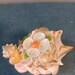 Seashell Character From 1960s Midcentury Souvenir - Etsy