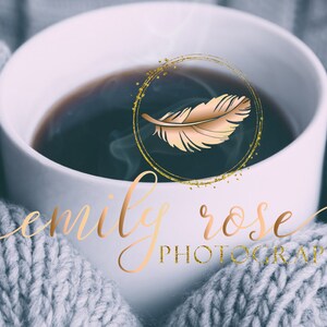 DIGITAL Feather Logo, Pink Gold Feather Logo , Feather Graphic Design ...