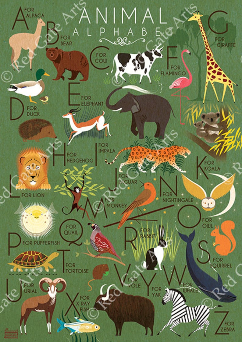 Animal Alphabet Poster Print Children's A-Z Nursery Art A3 | Etsy