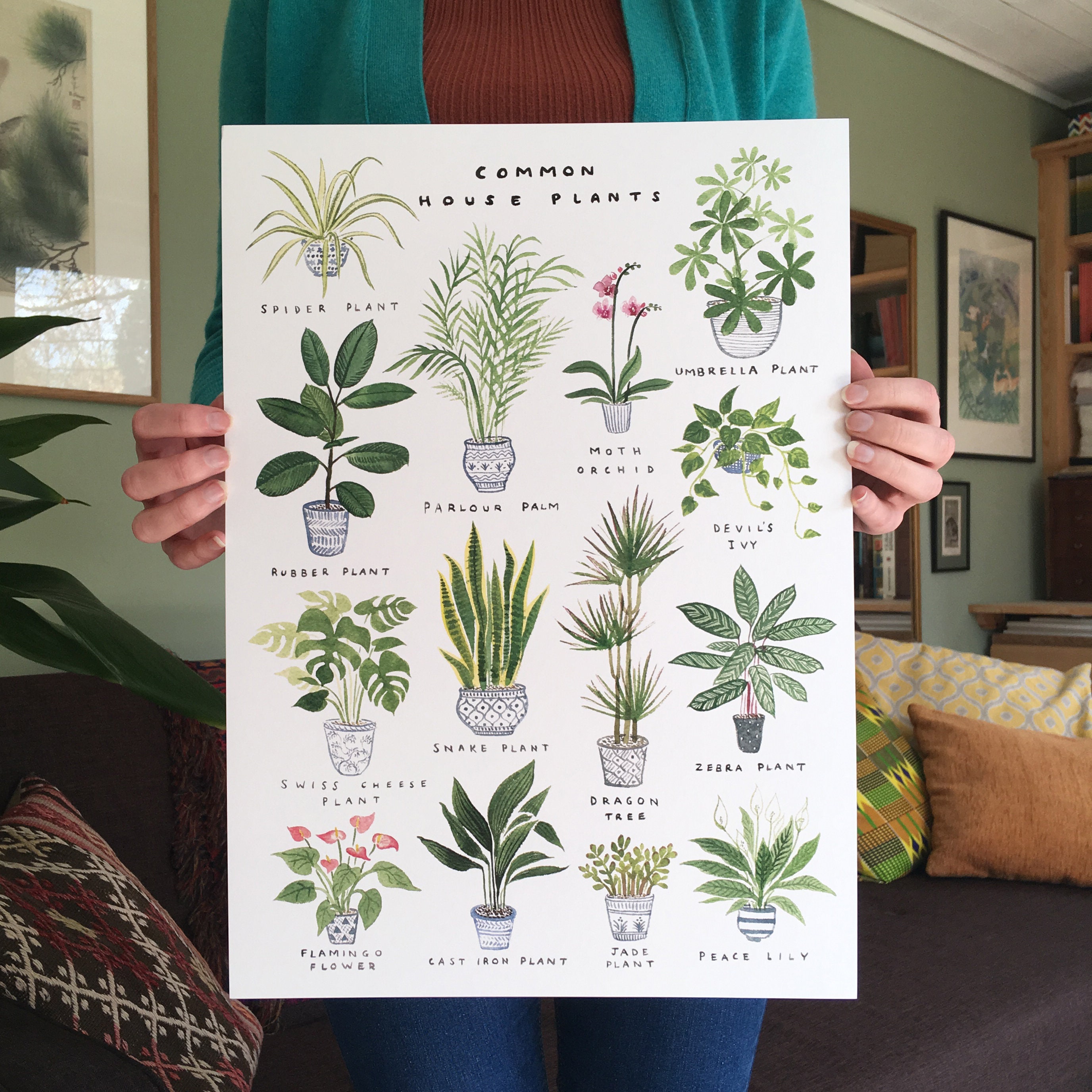 House Plants Poster Print Botanical Art Illustration A3 A2 - Etsy UK