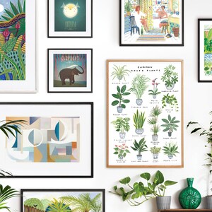 House Plants Poster Print, Botanical Art Illustration, A3 A2 A1 Sizes ...