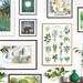 House Plants Poster Print Botanical Art Illustration A3 A2 - Etsy