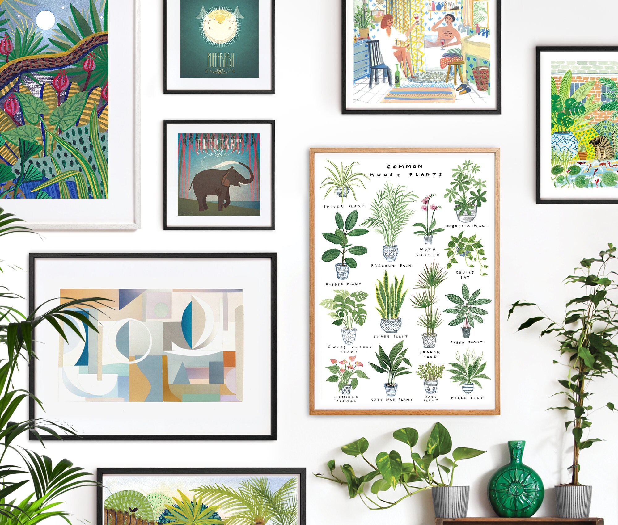 House Plants Poster Print Botanical Art Illustration A3 A2 - Etsy UK