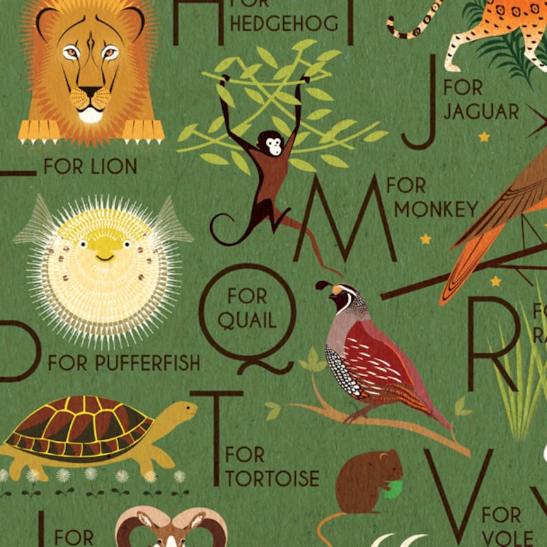 Animal Alphabet Poster Print Children's A-Z Nursery Art A3 - Etsy