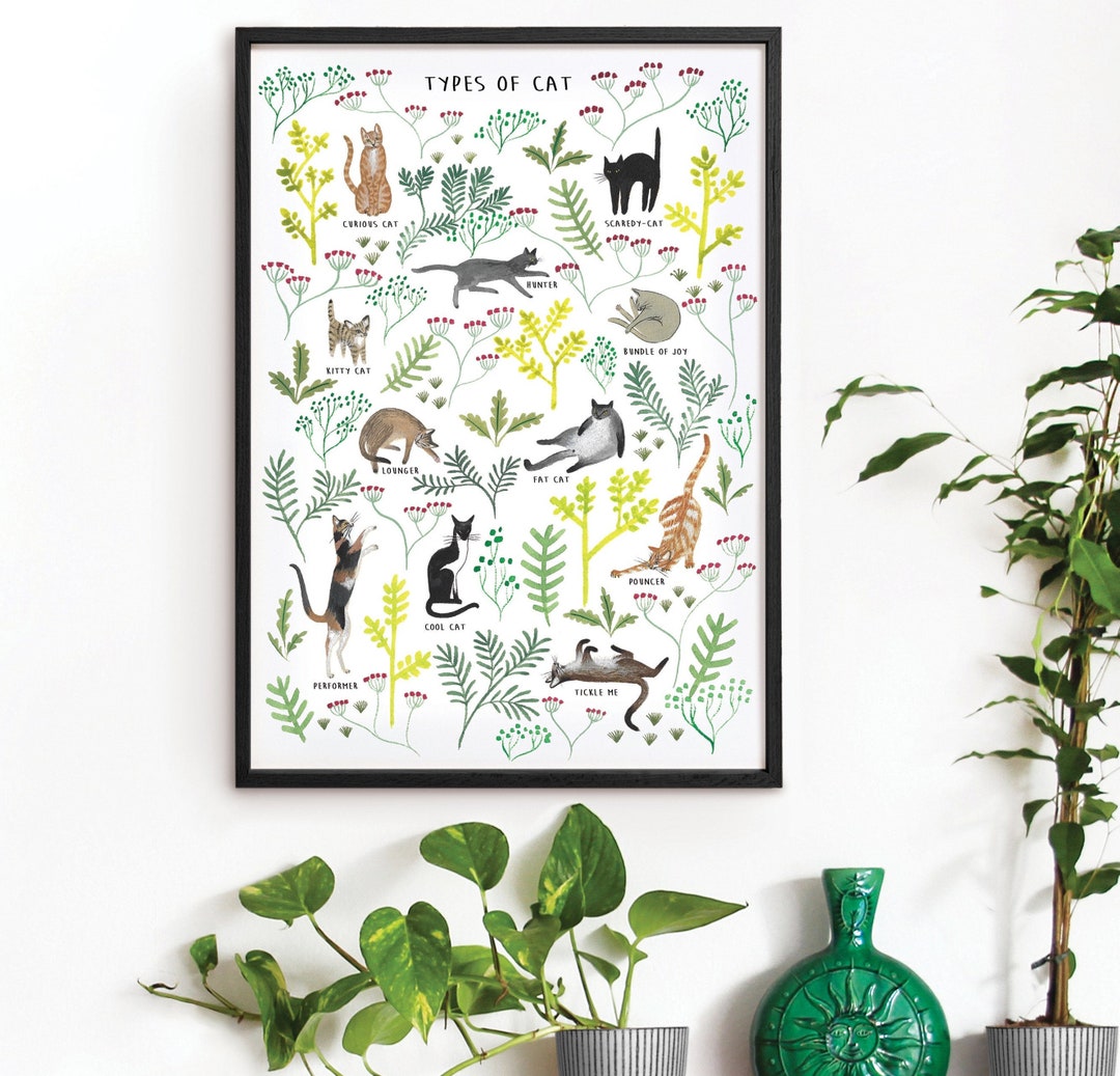 Cat Types Poster Print, Funny Cute Illustration, Cat Lover Gift Present ...