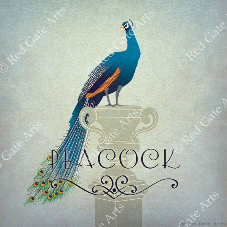 Peacock Print Animal Alphabet Beautiful Art Deco Vintage - Etsy