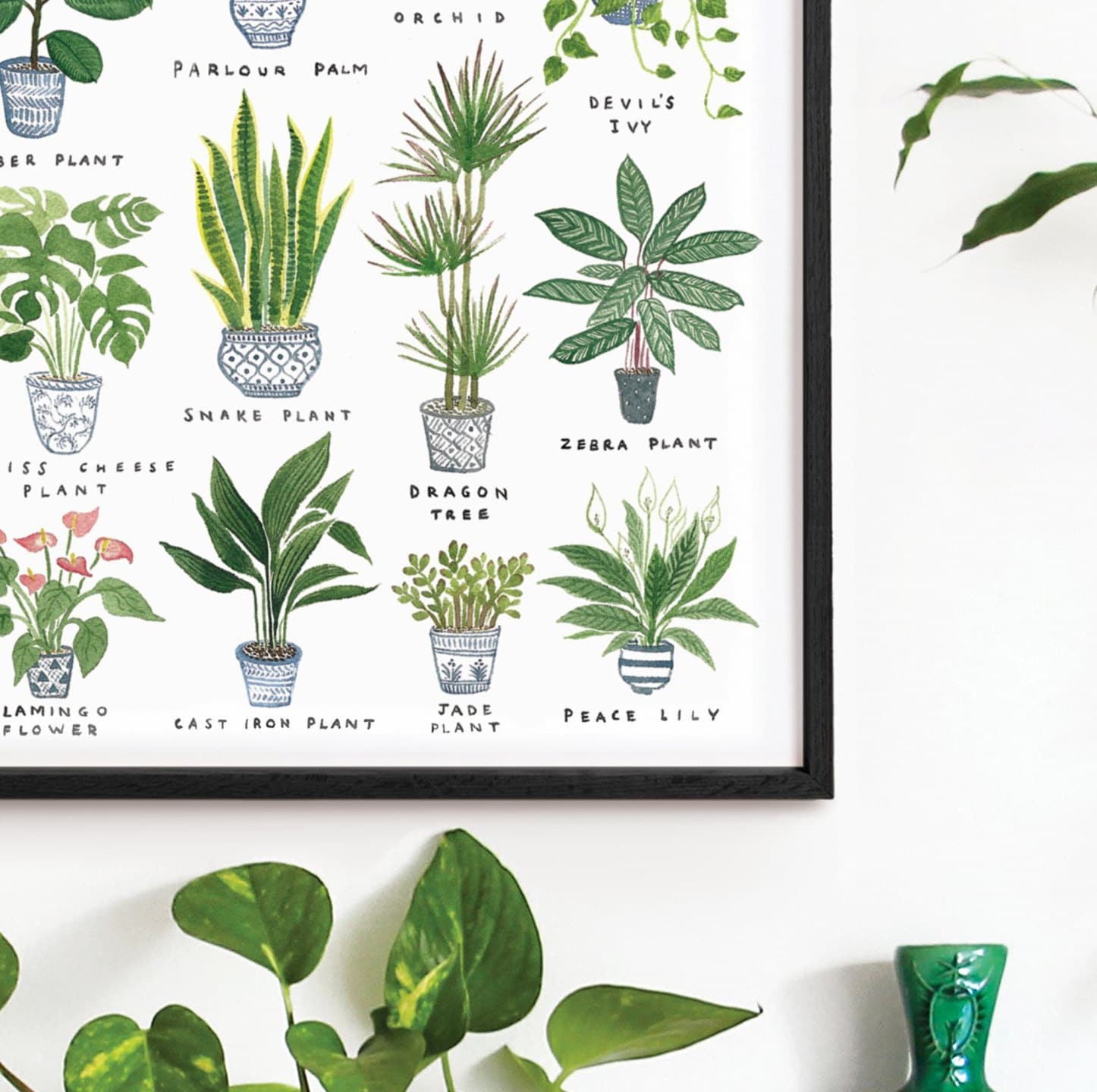 House Plants Poster Print Botanical Art Illustration A3 A2 - Etsy UK