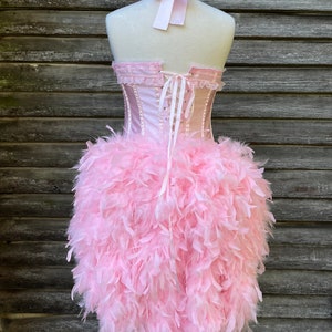 Pick Size-pink Victorian Lace Burlesque Carnival Circus Costume Feather ...