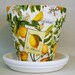 Handmade Decoupage Terra Cotta Indoor Flowerpot, Indoor Planter Lemons ...