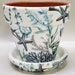 Conch Shell Planter Pot: Beach Coastal Home Decor - Etsy